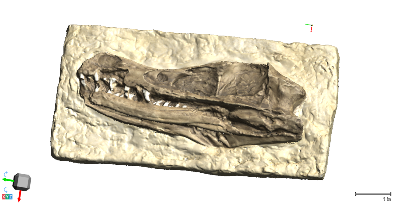 Evolving 3D Scanning Technology- Comparative Analysis Scan Of ...